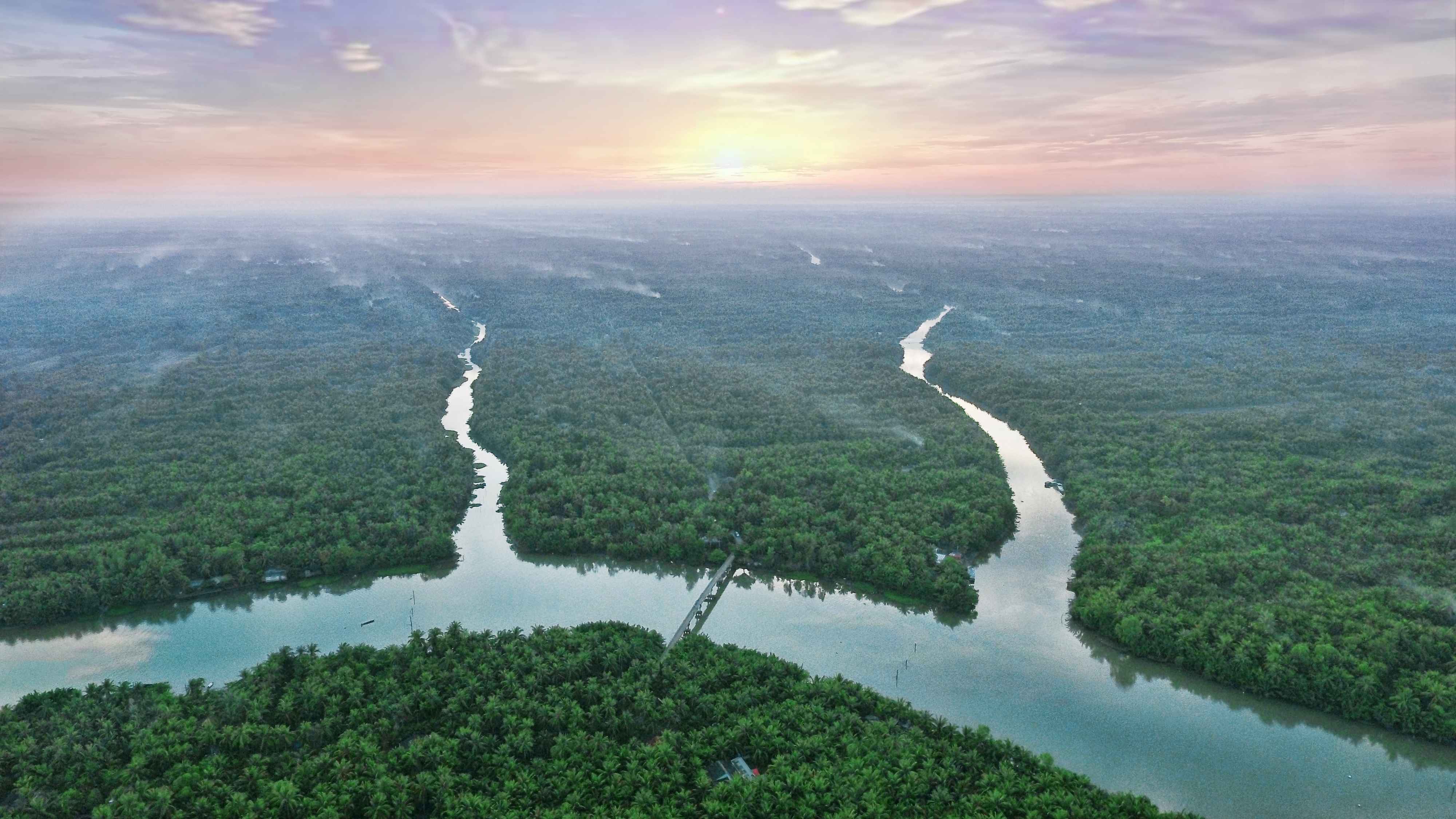 Ben Tre Coconut Land | Coconut water company. Betrimex Vietnam